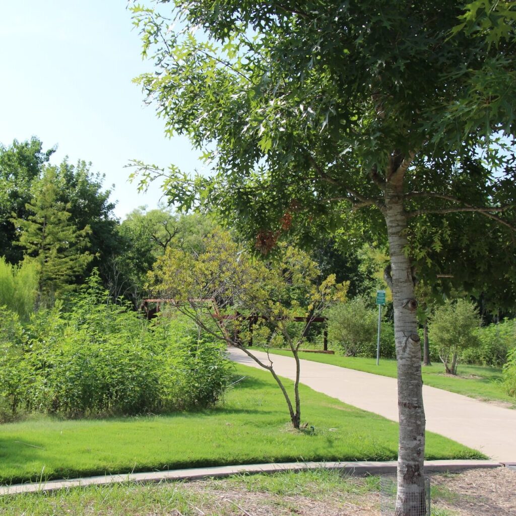 Blackland Prairie Raptor Center - Raptor Rehab & Events