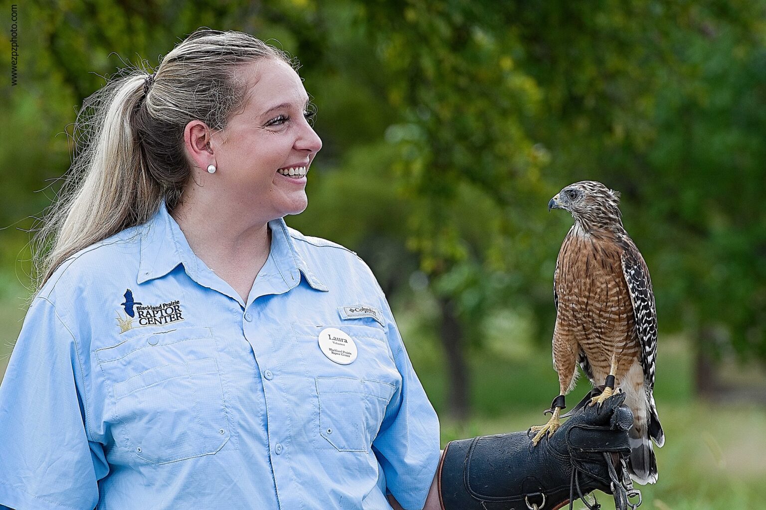 Blackland Prairie Raptor Center - Raptor Rehab & Events