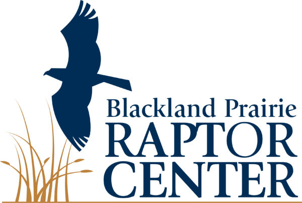 Blackland Prairie Raptor Center - Raptor Rehab & Events