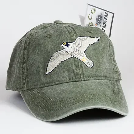 Peregrine Falcon Hat - Blackland Prairie Raptor Center